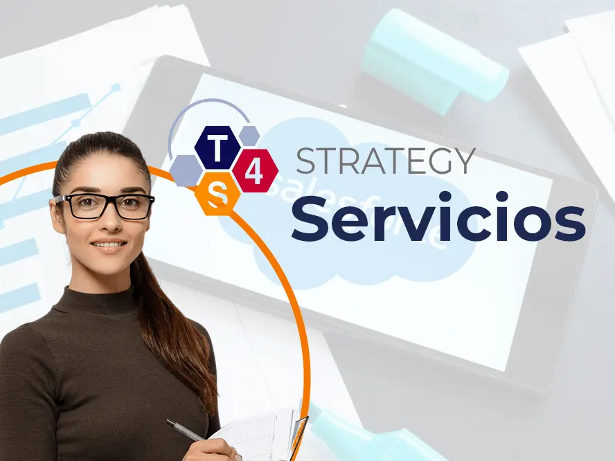 Servicios - TS4 Strategy